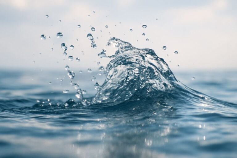15 Factors That Enabled Life to Exist on Earth